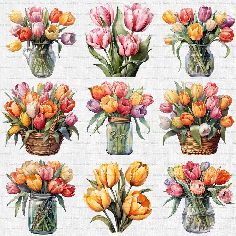 Watercolor Tulip PNG Clipart Bundle, Tulip Clipart, Floral Clipart ...