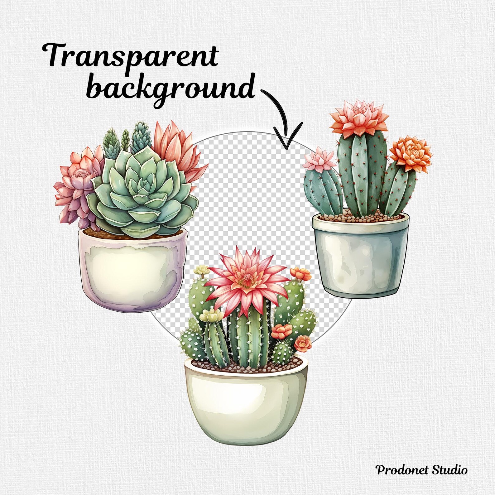 Watercolor Cactus Pot PNG Clipart Bundle, Watercolor Succulent PNG ...