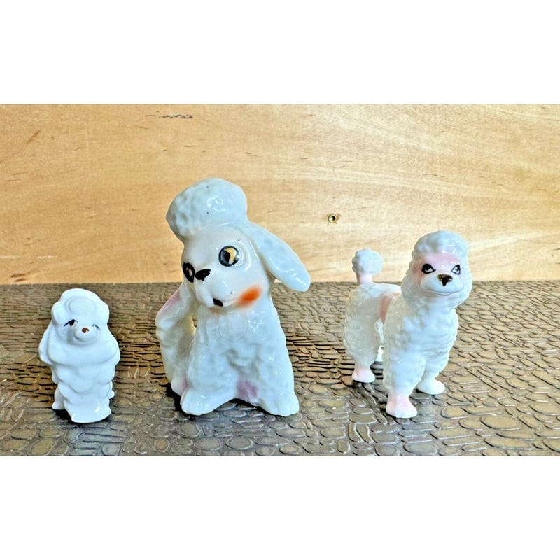 Spaghetti Dog - Etsy