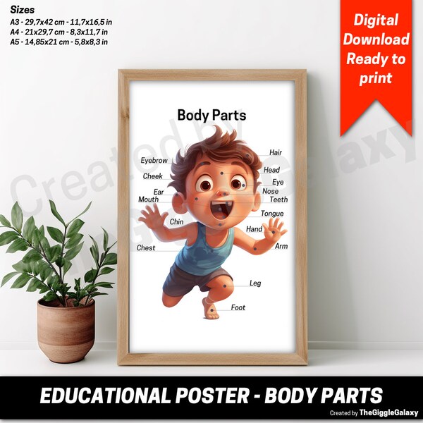Toddler Body Parts Poster - Etsy