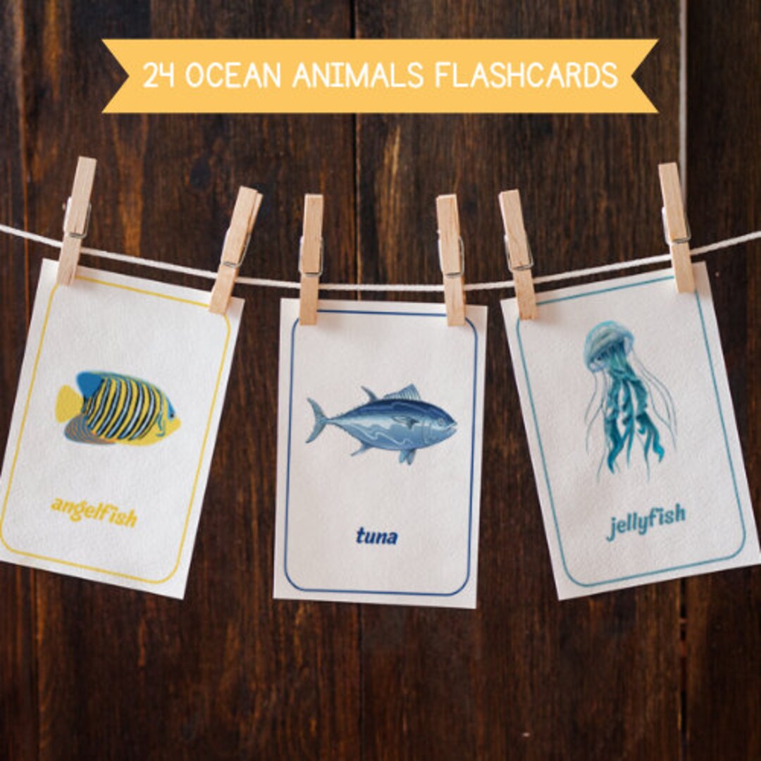 24 Ocean Animal Flashcards Flashcards for Kids Childrens - Etsy