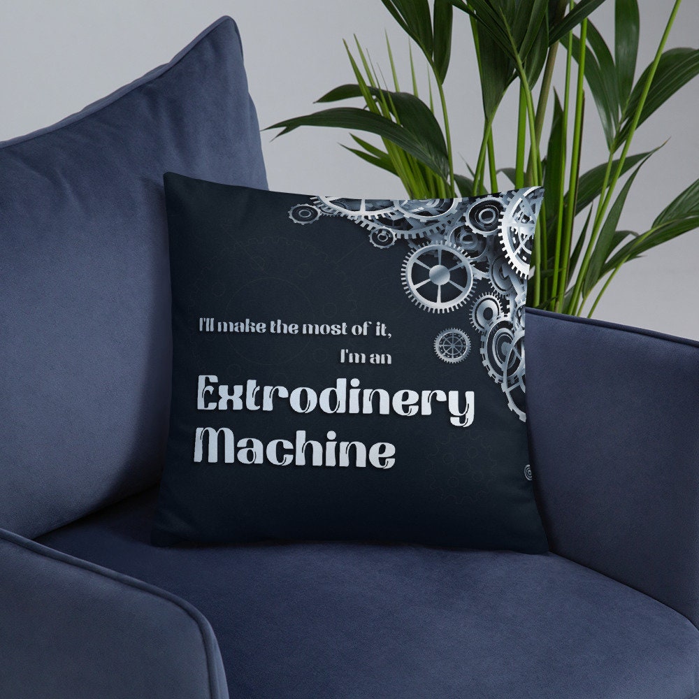 Extraordinary Machine Fiona Apple Lyrics Pillow Pop Music - Etsy