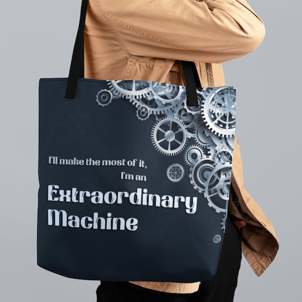 Fiona Apple Extraordinary Machine Lyrics - Etsy