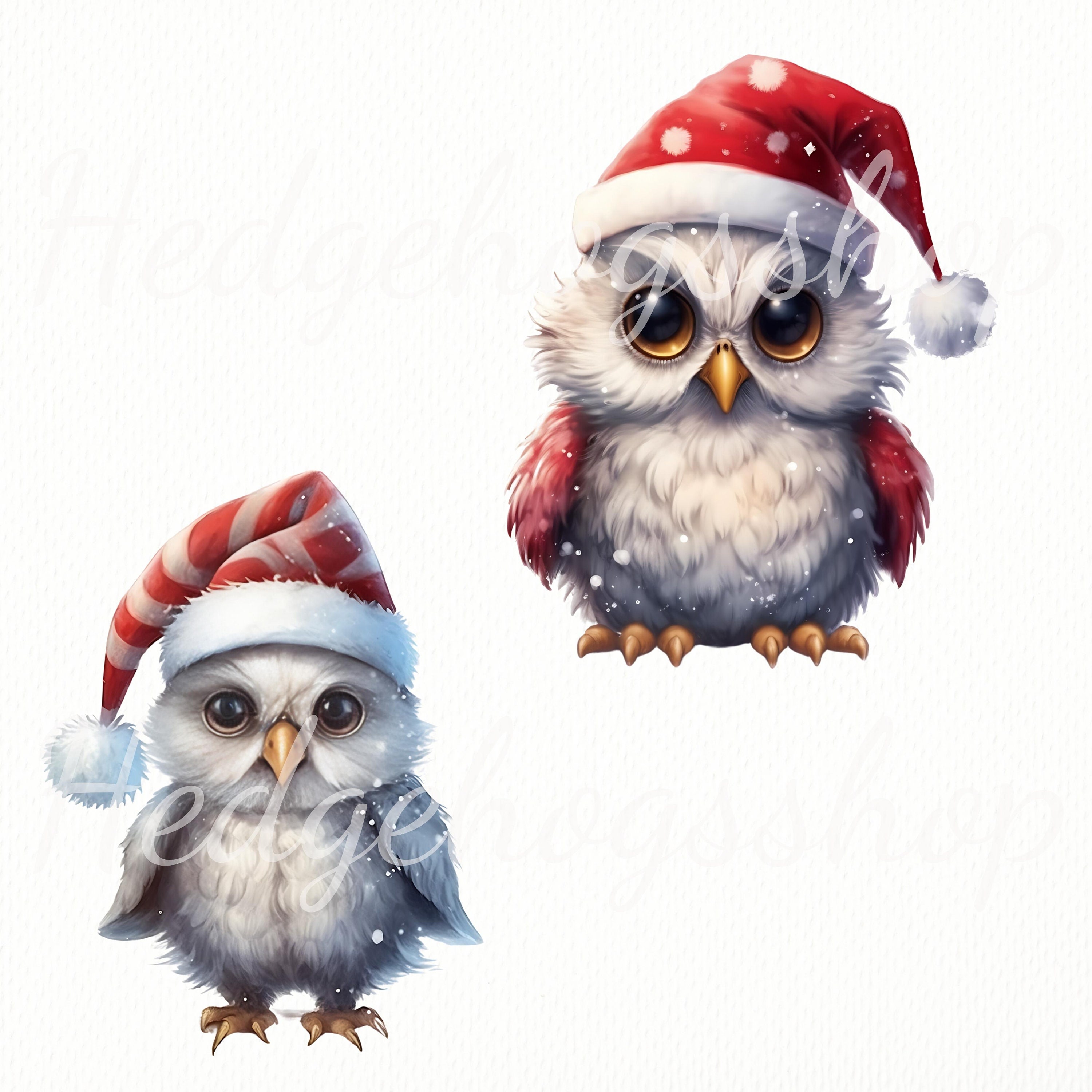 Christmas Owls Clipart Watercolor, Baby Owl Png, Merry Christmas Baby ...