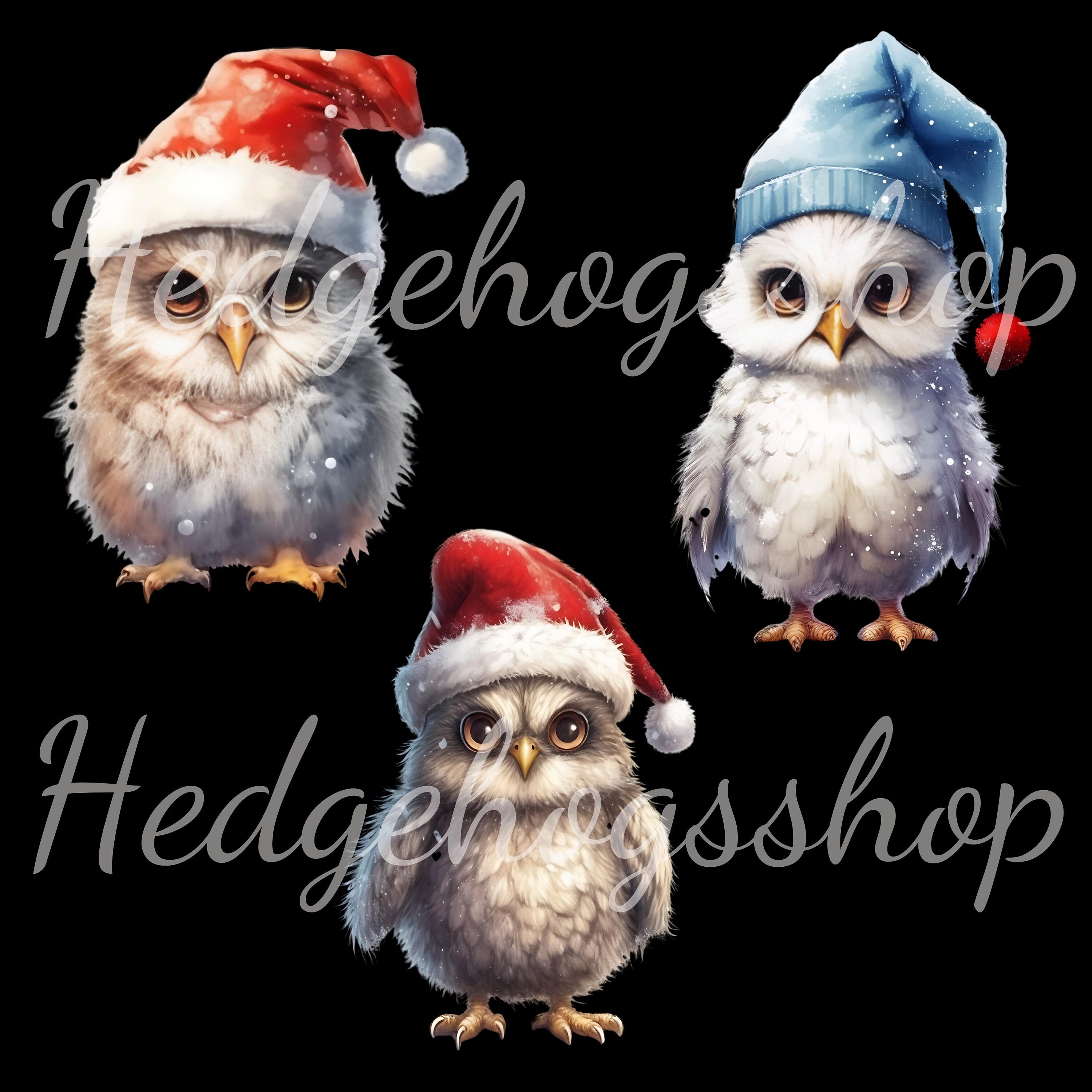 Christmas Owls Clipart Watercolor Baby Owl Png Merry - Etsy