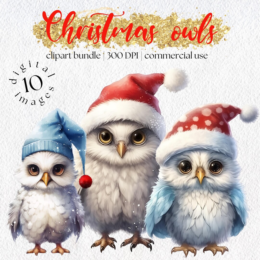 Christmas Owls Clipart Watercolor, Baby Owl Png, Merry Christmas Baby ...