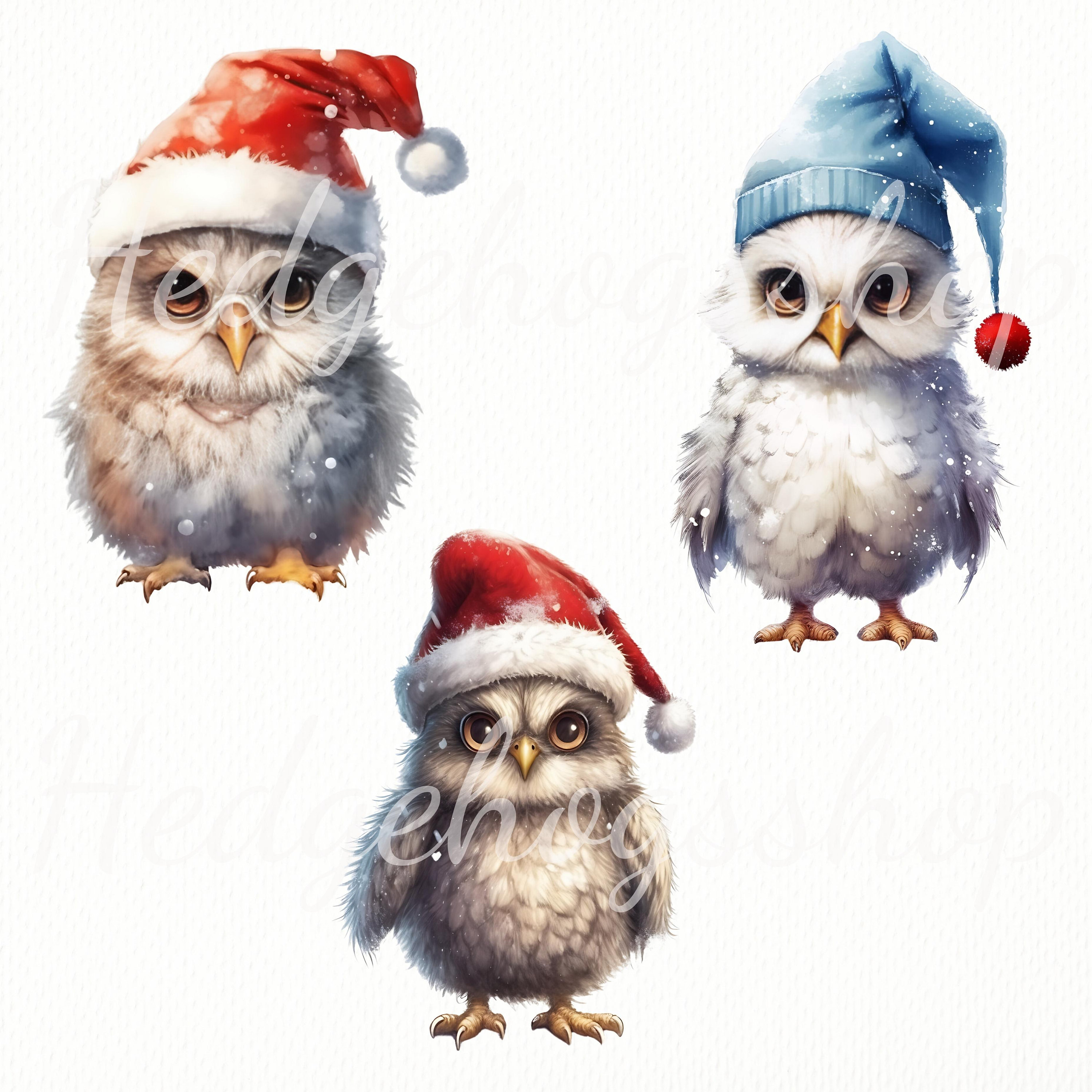Christmas Owls Clipart Watercolor, Baby Owl Png, Merry Christmas Baby ...