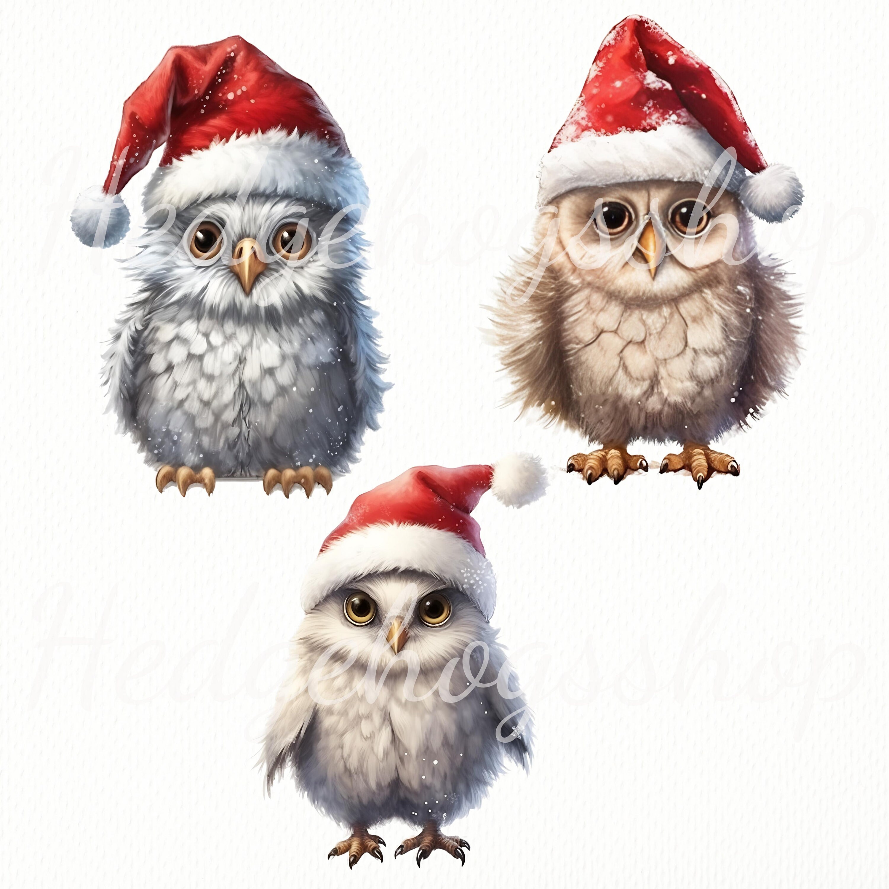 Christmas Owls Clipart Watercolor, Baby Owl Png, Merry Christmas Baby ...