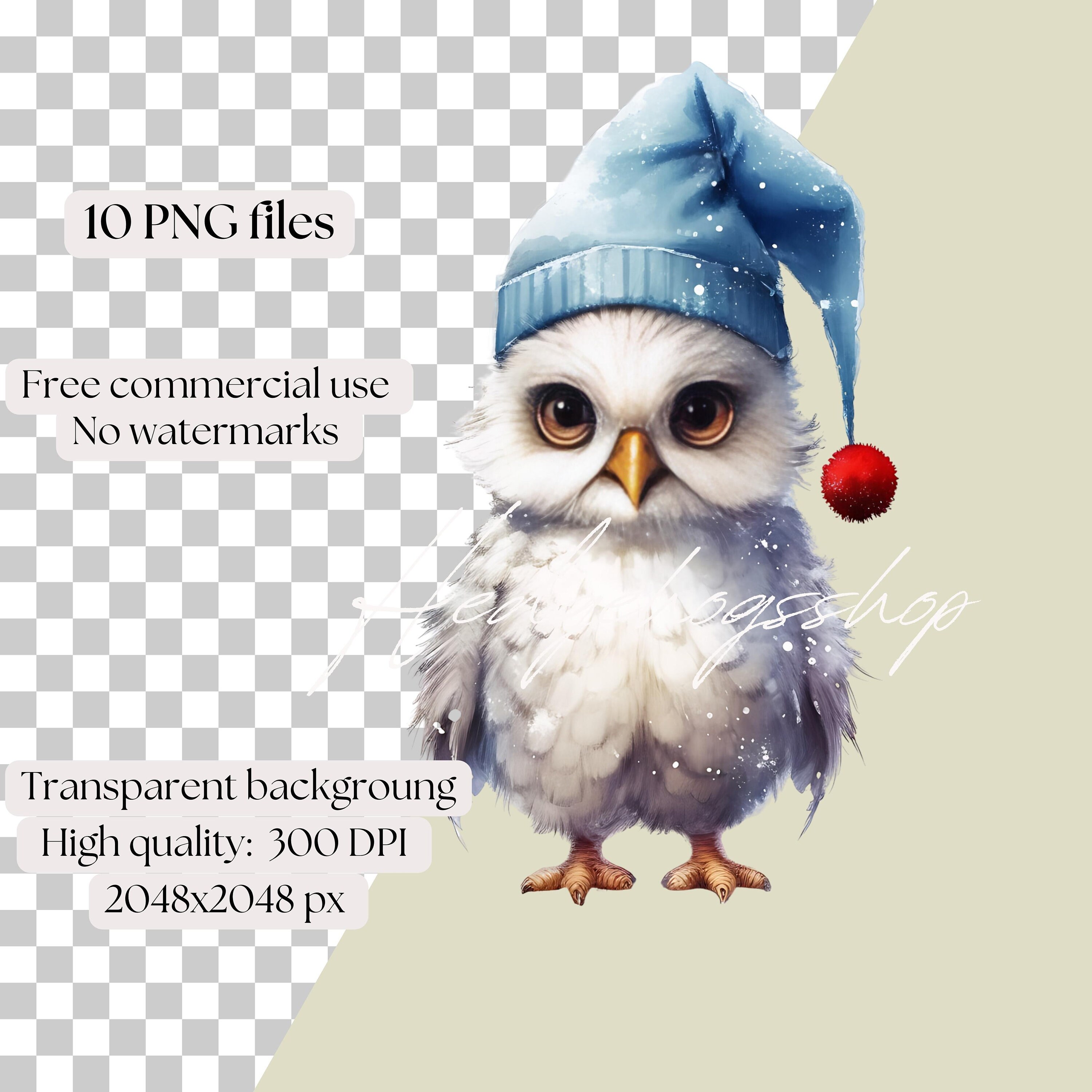 Christmas Owls Clipart Watercolor, Baby Owl Png, Merry Christmas Baby ...
