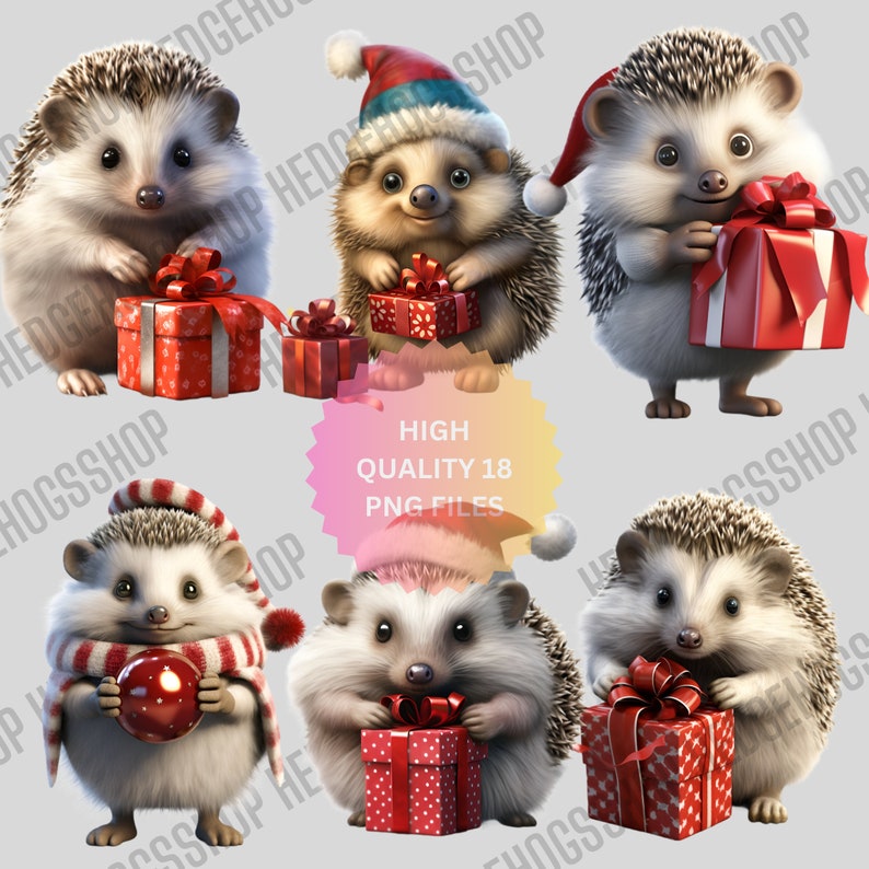 CHRISTMAS Hedgehog PNG Clipart, Christmas Clipart PNG Bundle, Cute ...
