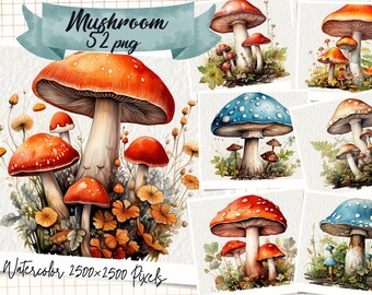 Mushroom Watercolor Clipart, Watercolor Forest Art, Fantasy Clipart ...
