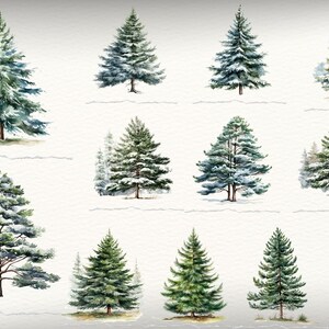 Snow on Christmas Tree Watercolor, Christmas Tree Watercolor Clipart ...