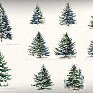 Snow on Christmas Tree Watercolor, Christmas Tree Watercolor Clipart ...