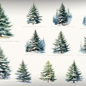 Snow on Christmas Tree Watercolor, Christmas Tree Watercolor Clipart ...