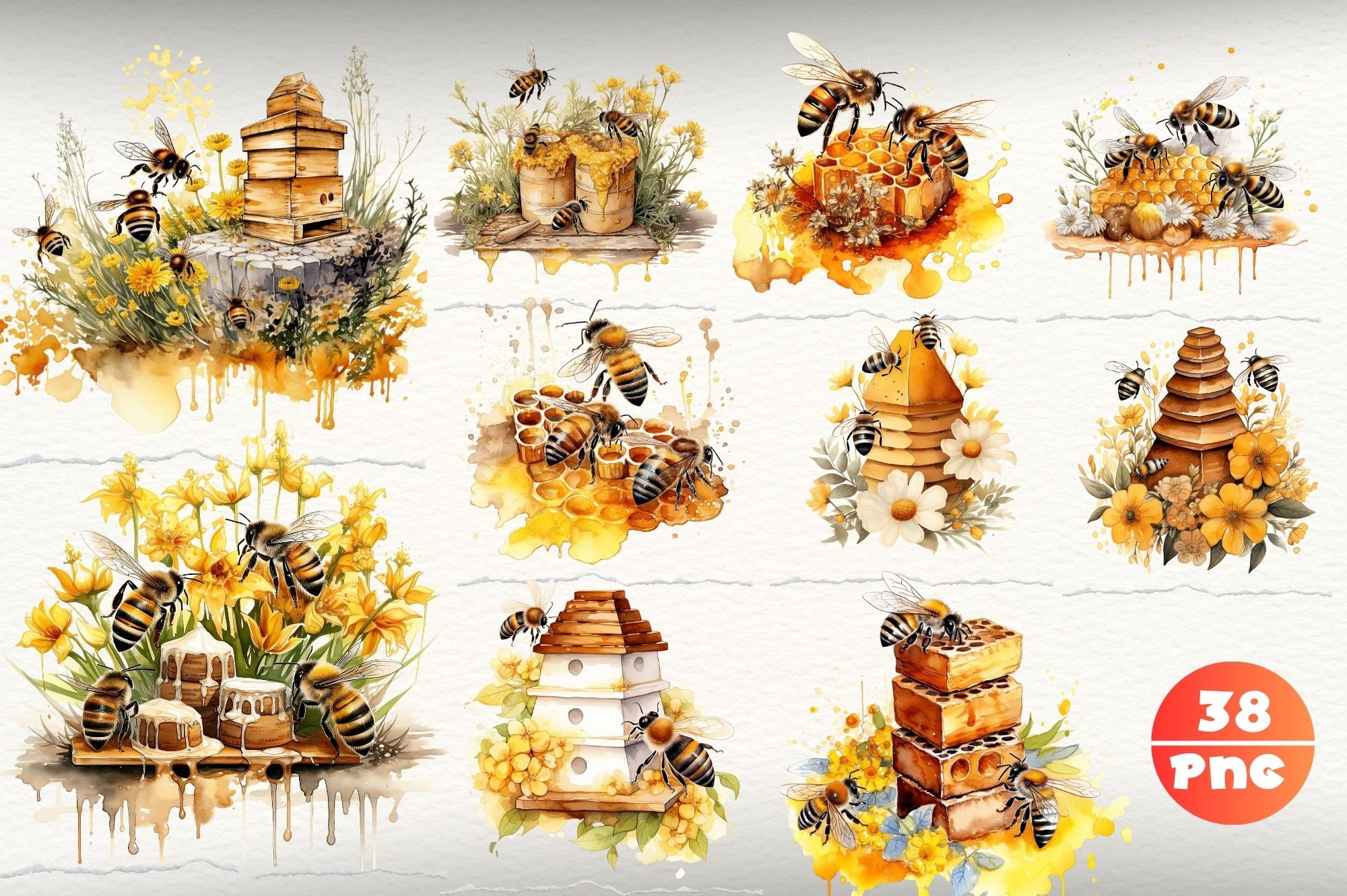 Honey Bee Watercolor Clipart Nursery, Honey Bee Clipart, Bumblebee ...