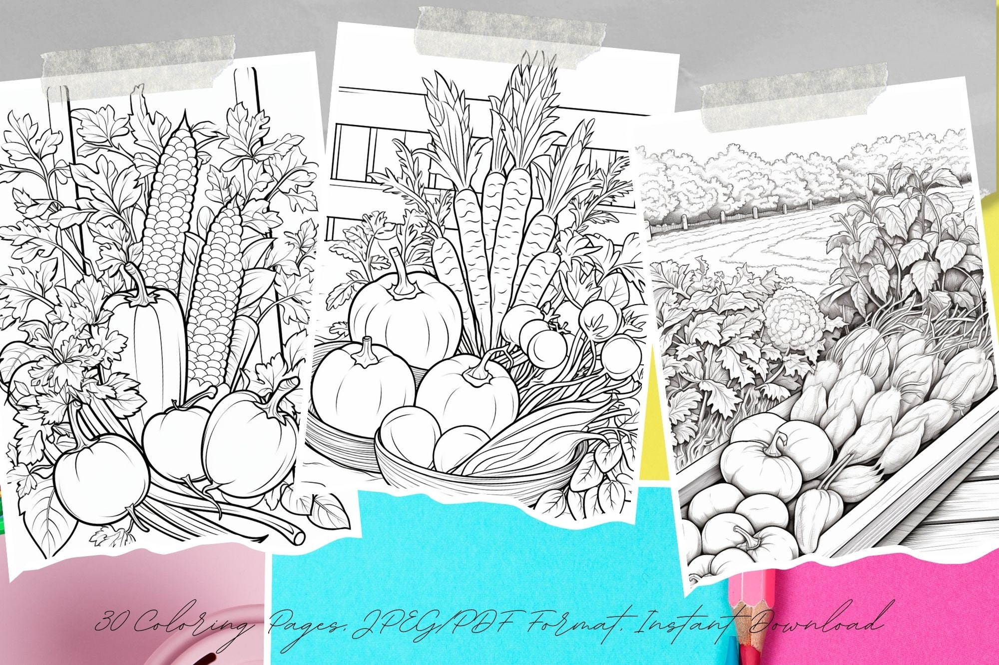 Vegetable Garden Coloring Page Garden Coloring Farm Coloring - Etsy