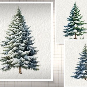Snow on Christmas Tree Watercolor, Christmas Tree Watercolor Clipart ...