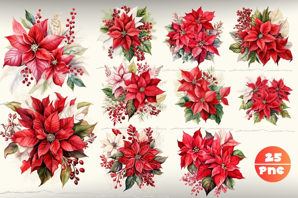 Christmas Flower Clipart, Christmas Gift Clipart, Winter Clipart ...