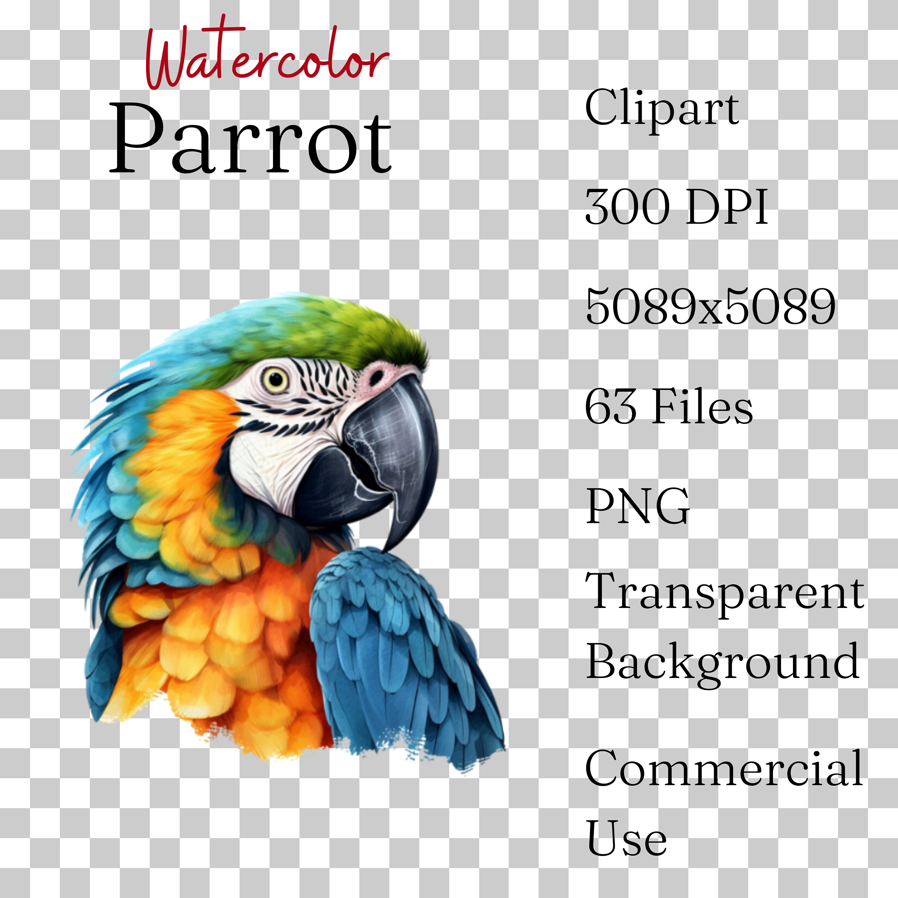 Watercolor Parrot Cliparts Bundle, PNG, 63 Illustrations, Colorful ...