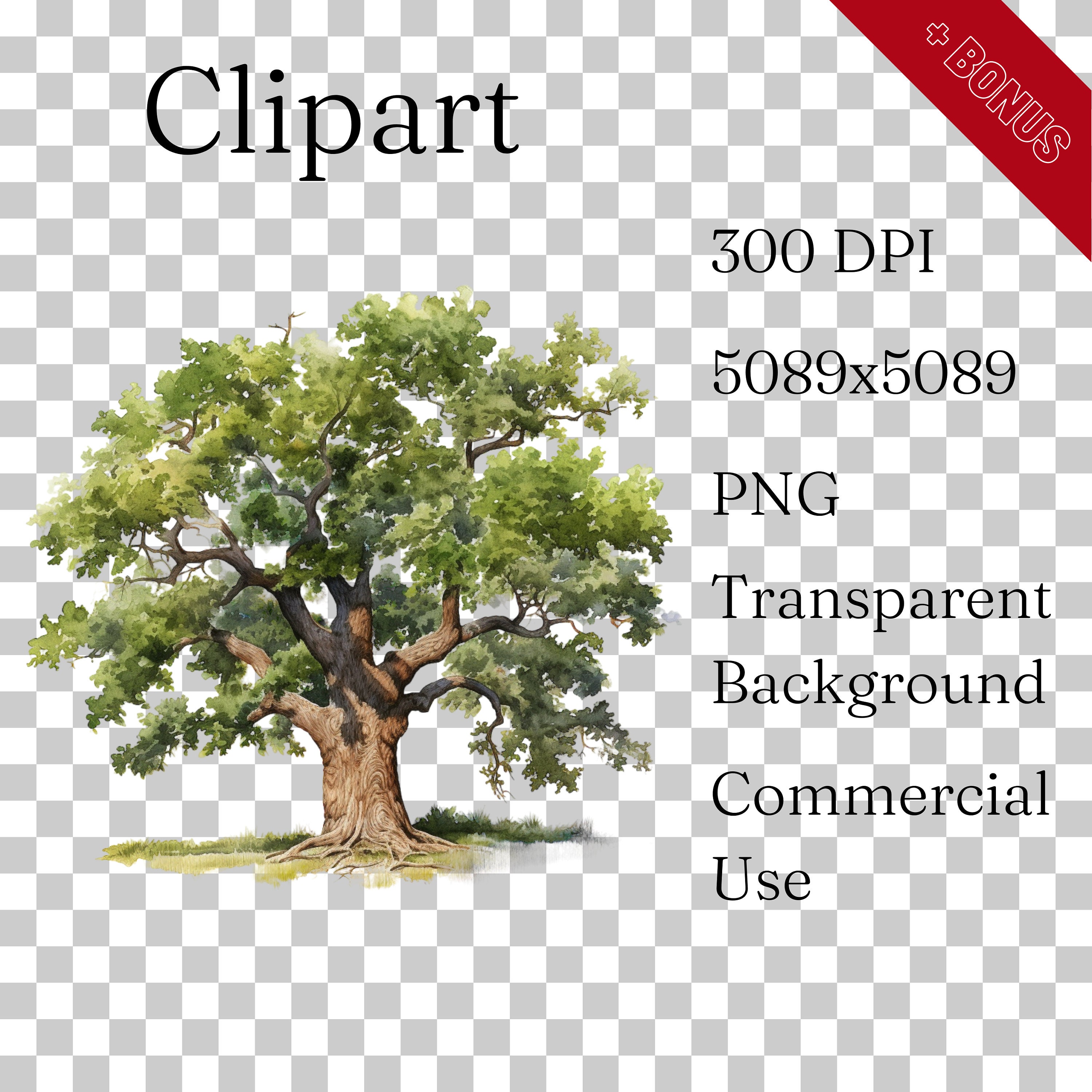 Watercolor Tree Cliparts Bundle, PNG, 137 Illustrations, Oak Trees ...