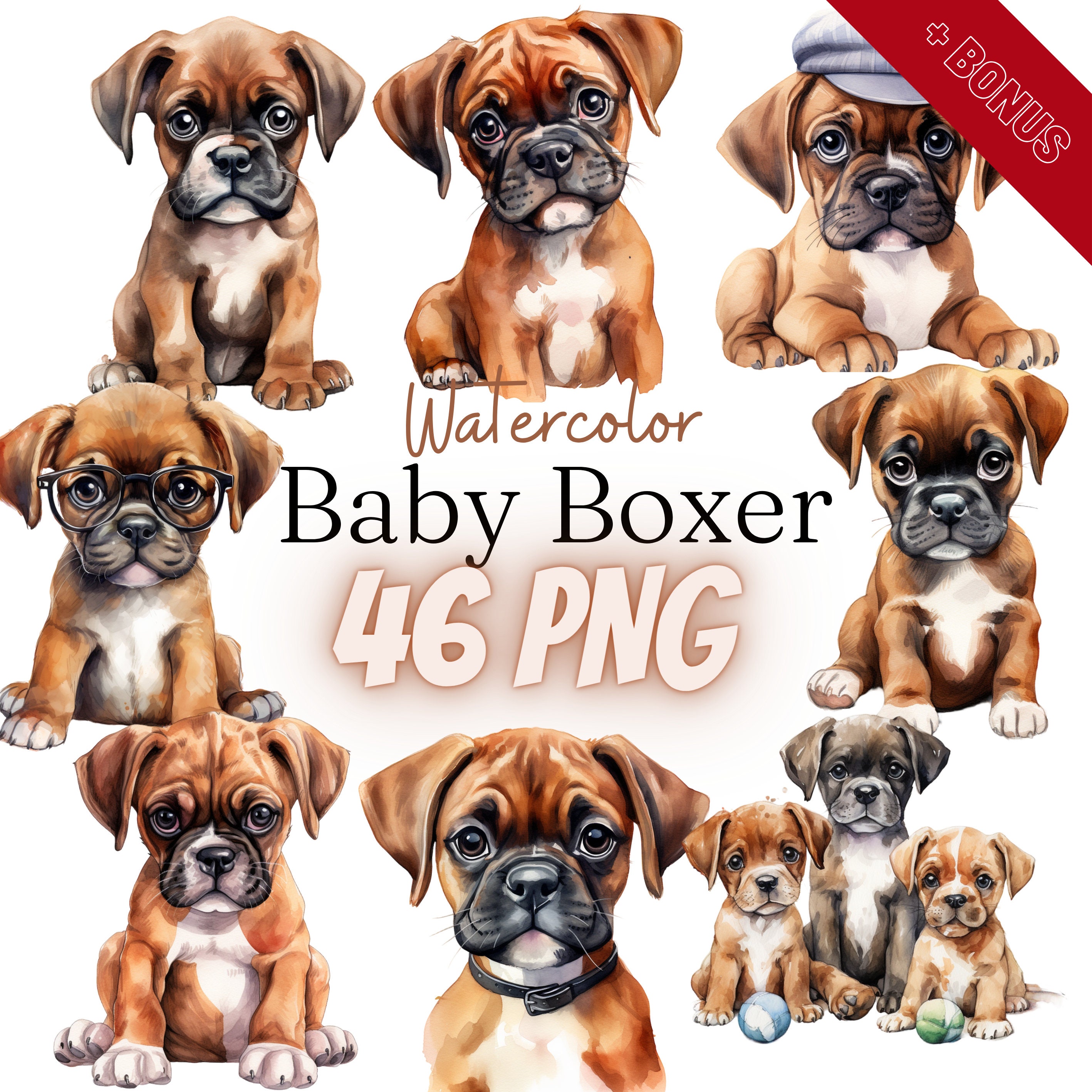 Watercolor Baby Boxer Cliparts Bundle, PNG, 46 Illustrations, Boxer ...