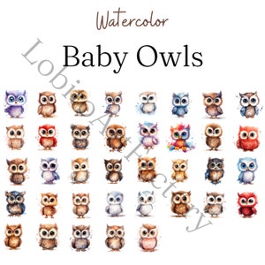 Watercolor Baby Owl Cliparts, PNG, 37 Illustrations, Cute Owls, Little Owl, Friend, Various ...