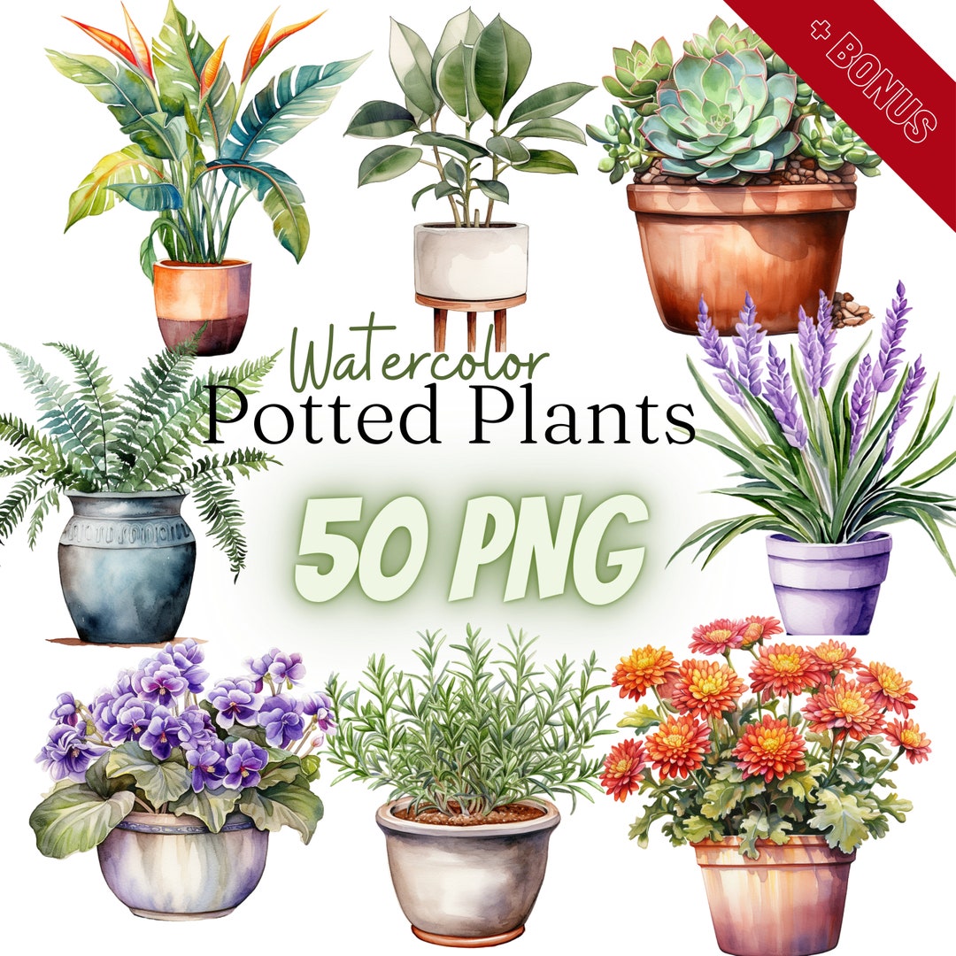 Watercolor Potted Plants Cliparts Bundle, 50 PNG, Lavender, Fern ...