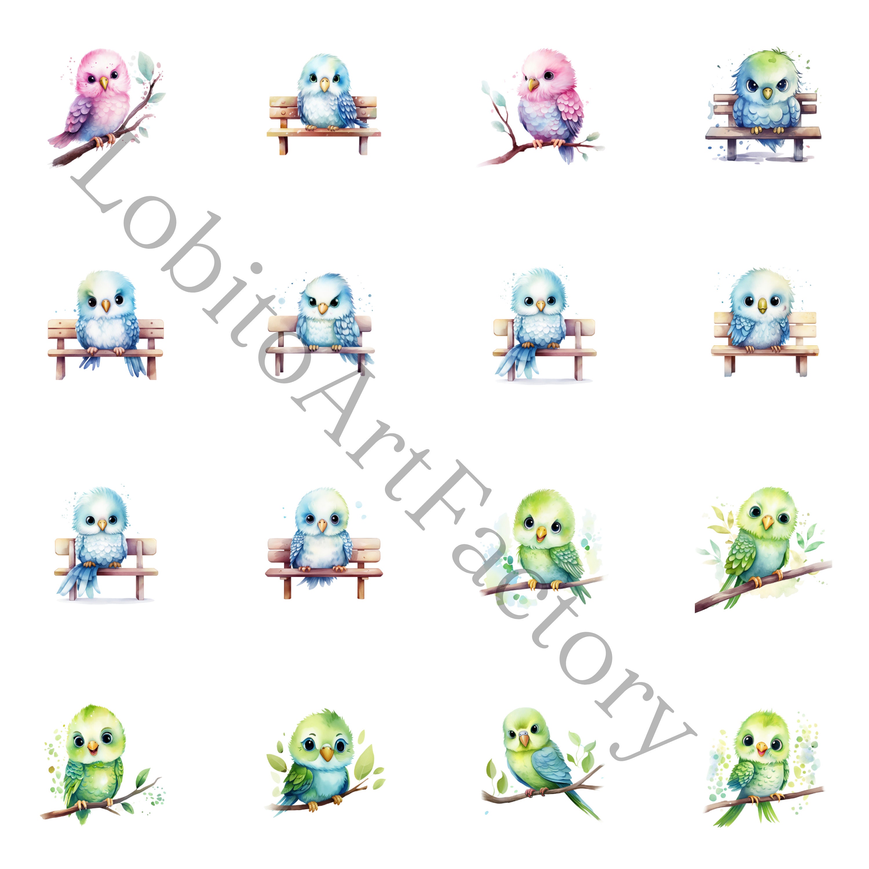 Watercolor Baby Parakeet, Clipart, Baby Budgerigar, Little Bird, Spring ...