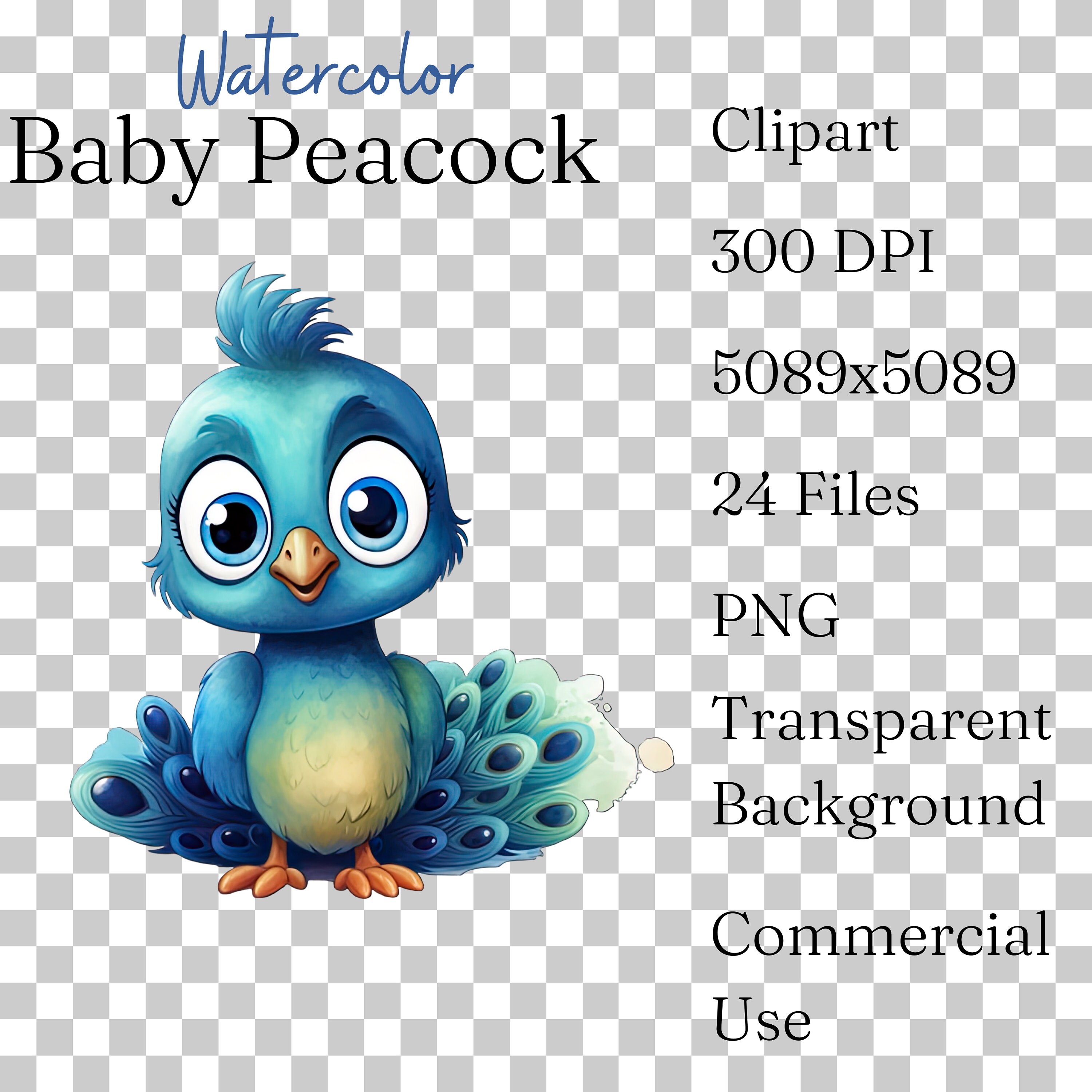 Watercolor Baby Peacock Cliparts Bundle, PNG, 24 Illustrations, Baby ...