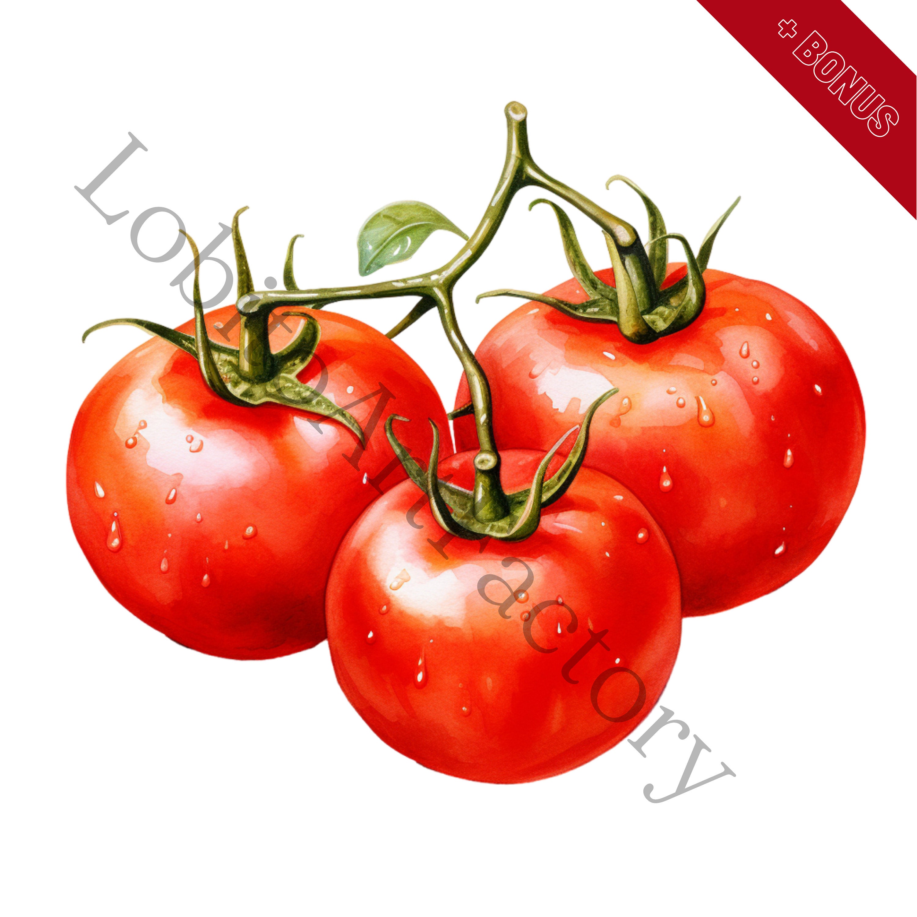 Watercolor Tomato Cliparts Bundle,45 PNG, Tomato, Tomatoes, Cocktail ...