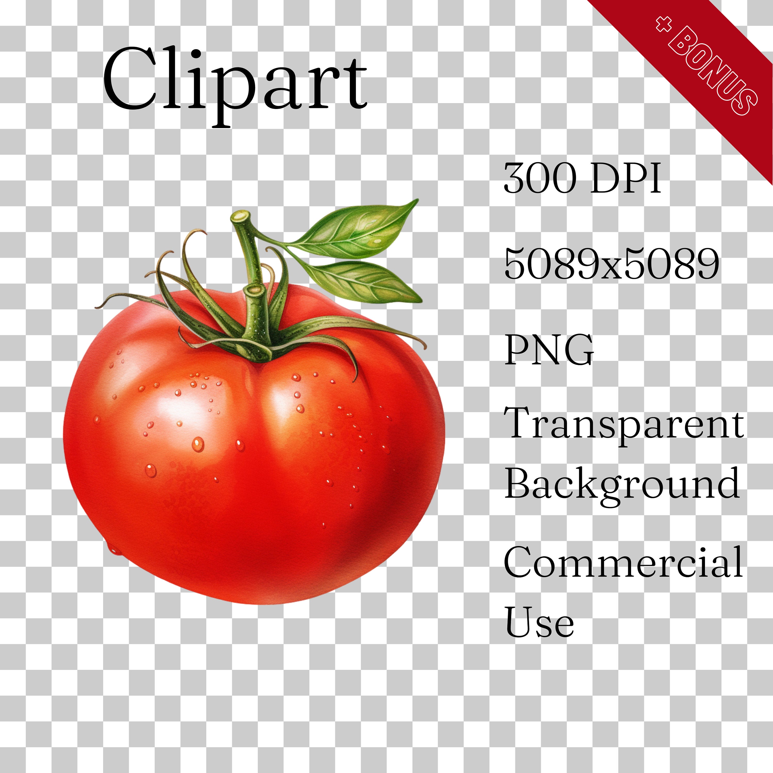 Watercolor Tomato Cliparts Bundle,45 PNG, Tomato, Tomatoes, Cocktail ...