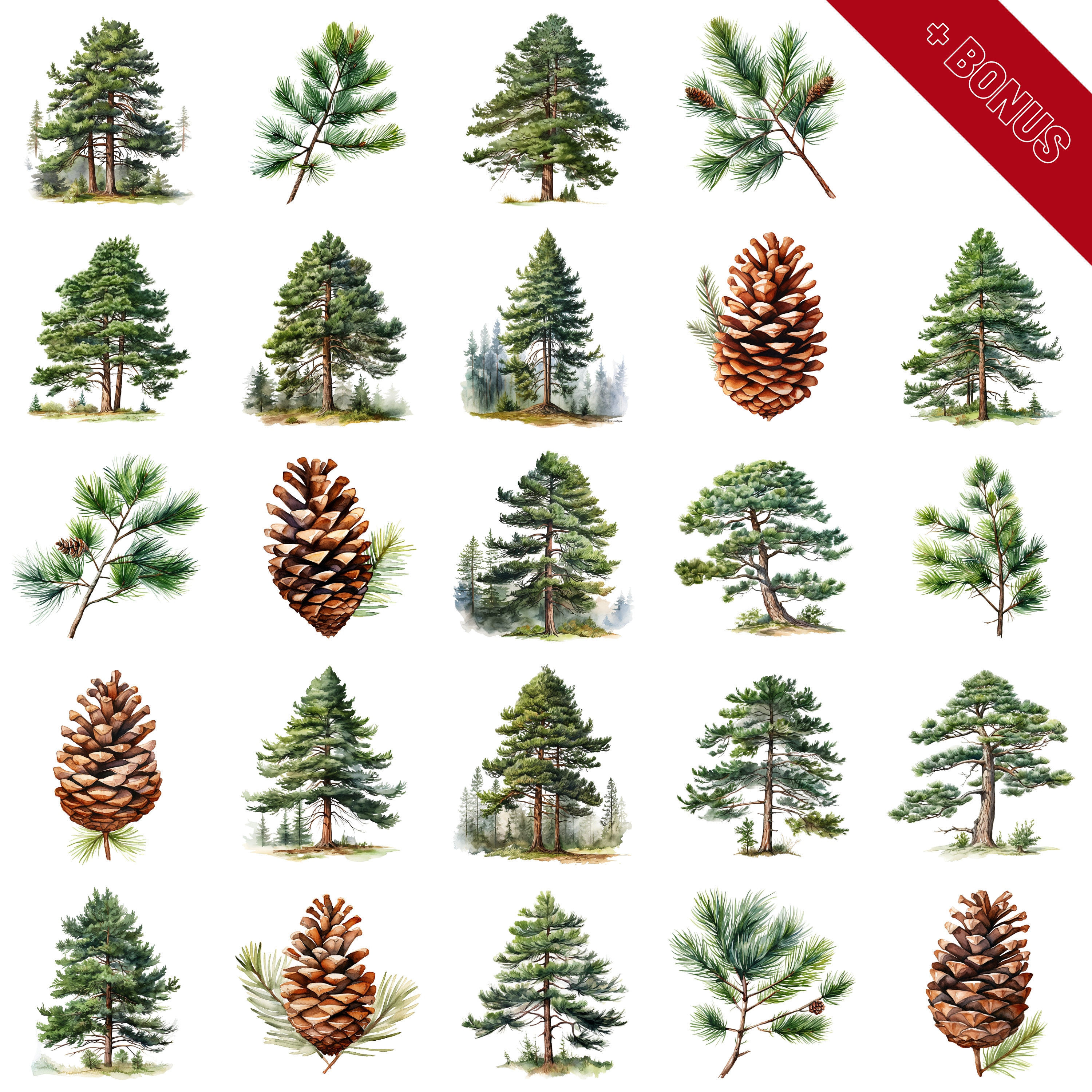 Watercolor Pine Tree Cliparts Bundle, PNG, 39 Illustrations, Pine Tree ...