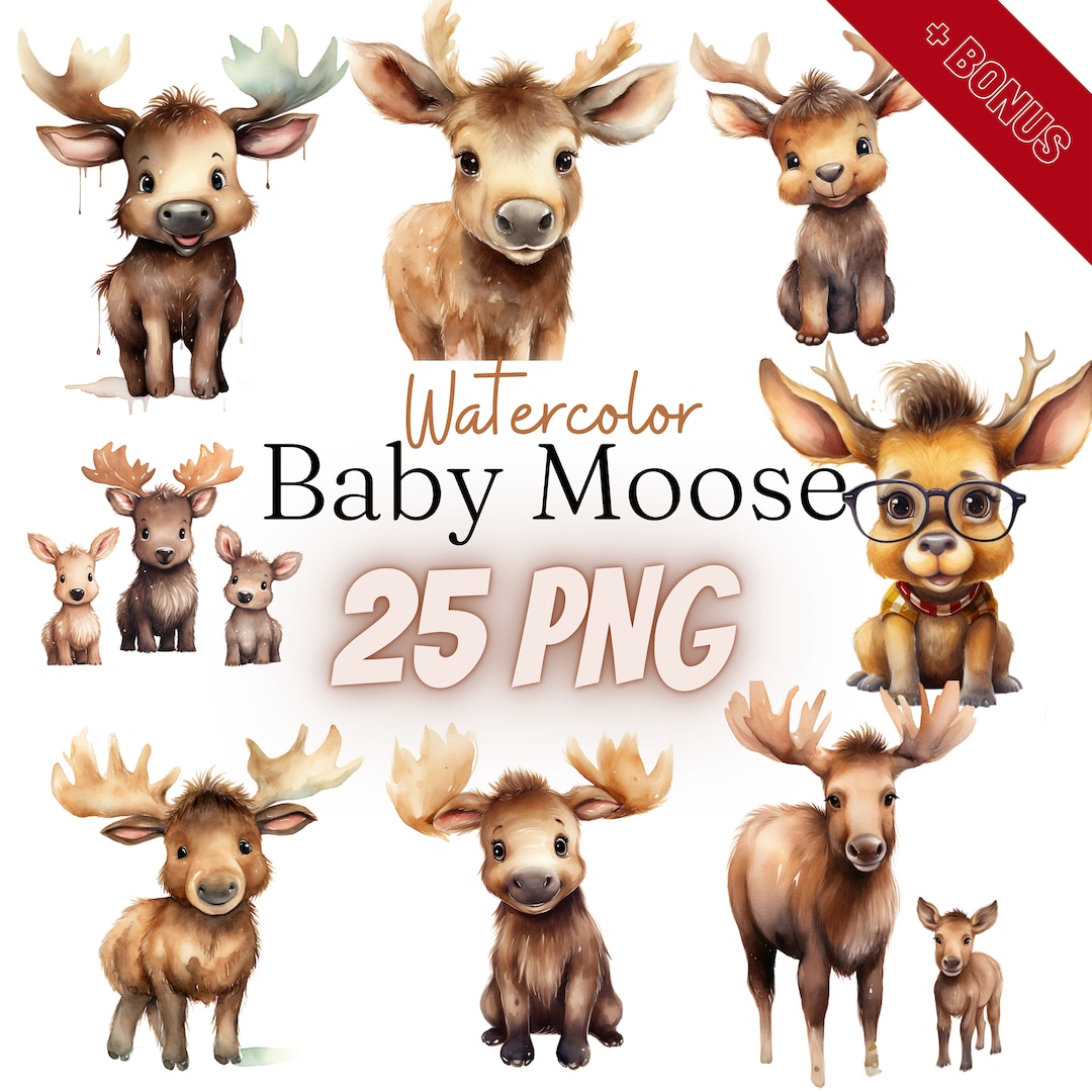 Watercolor Baby Moose Cliparts Bundle, PNG, 25 Illustrations, Baby ...