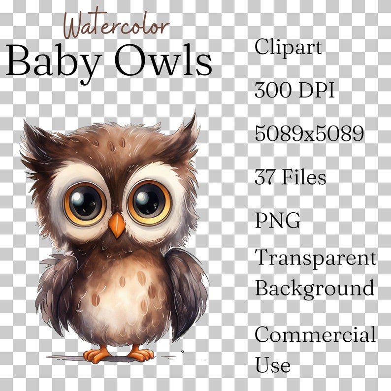 Watercolor Baby Owl Cliparts, PNG, 37 Illustrations, Cute Owls, Little ...
