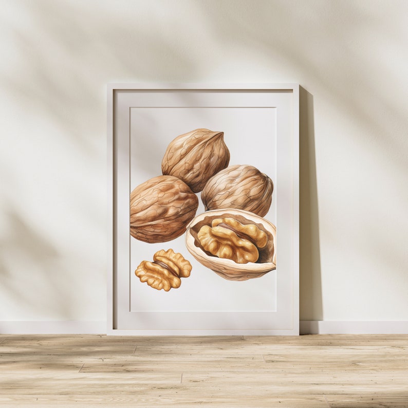 Watercolor Walnut Cliparts Bundle, PNG, 31 Illustrations, Walnuts ...