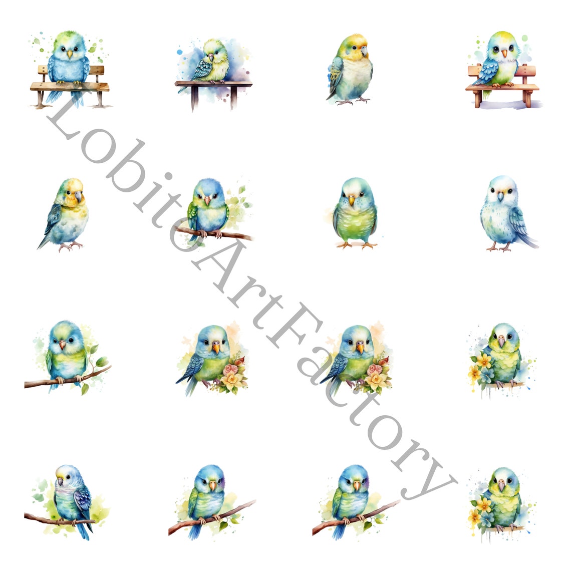 Watercolor Baby Parakeet, Clipart, Baby Budgerigar, Little Bird, Spring ...