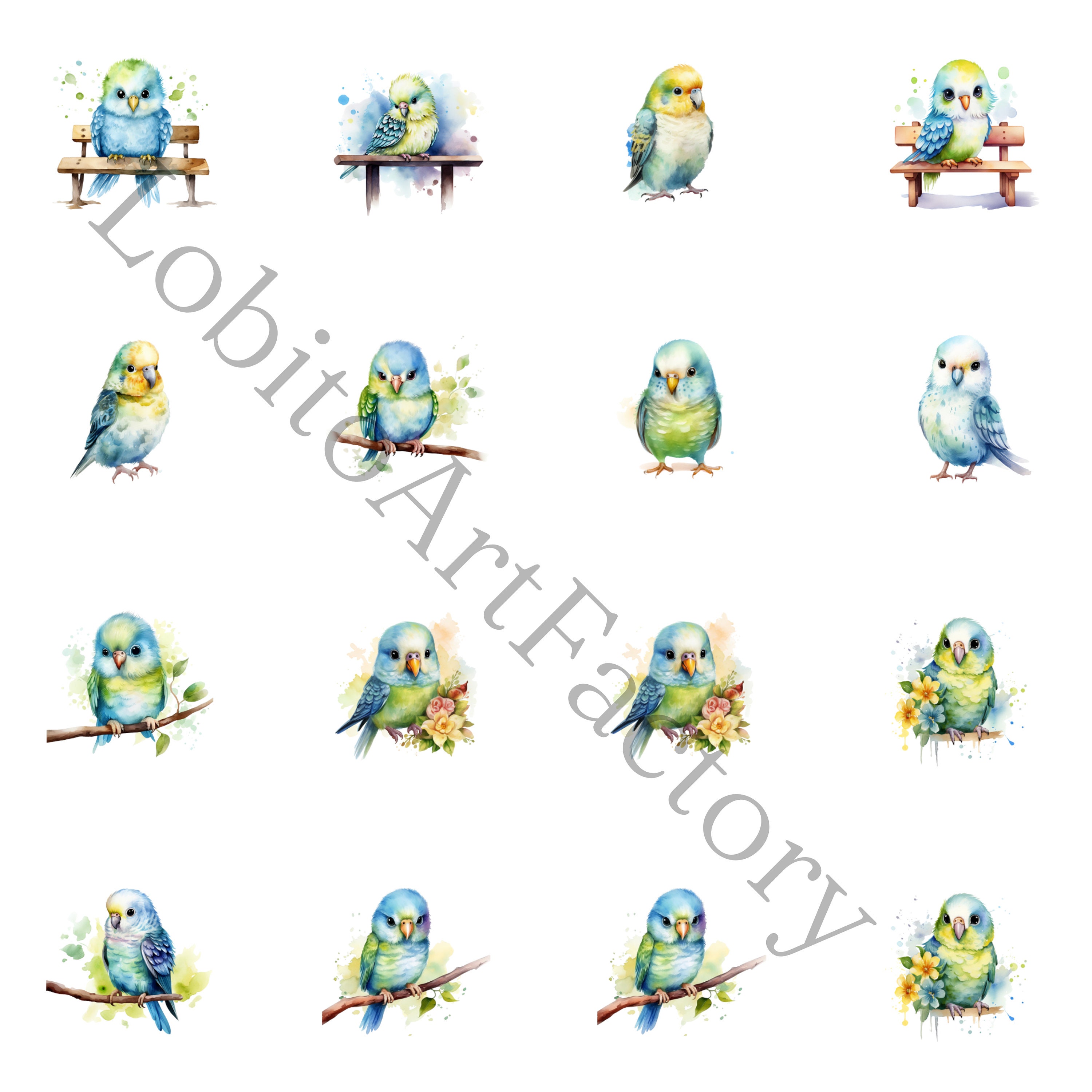 Watercolor Baby Parakeet, Clipart, Baby Budgerigar, Little Bird, Spring ...