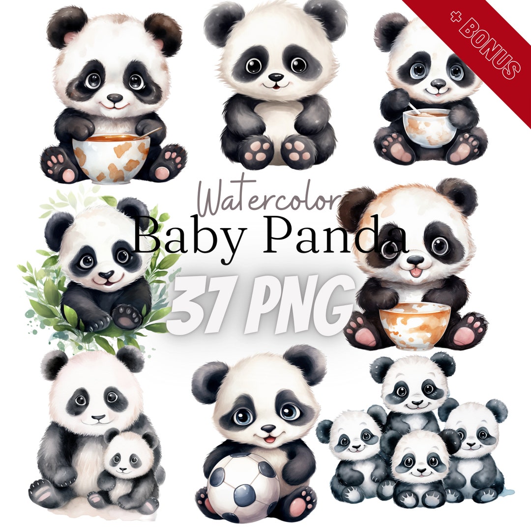Watercolor Baby Panda Cliparts Bundle, 37 PNG, Watercolor Panda, Panda ...