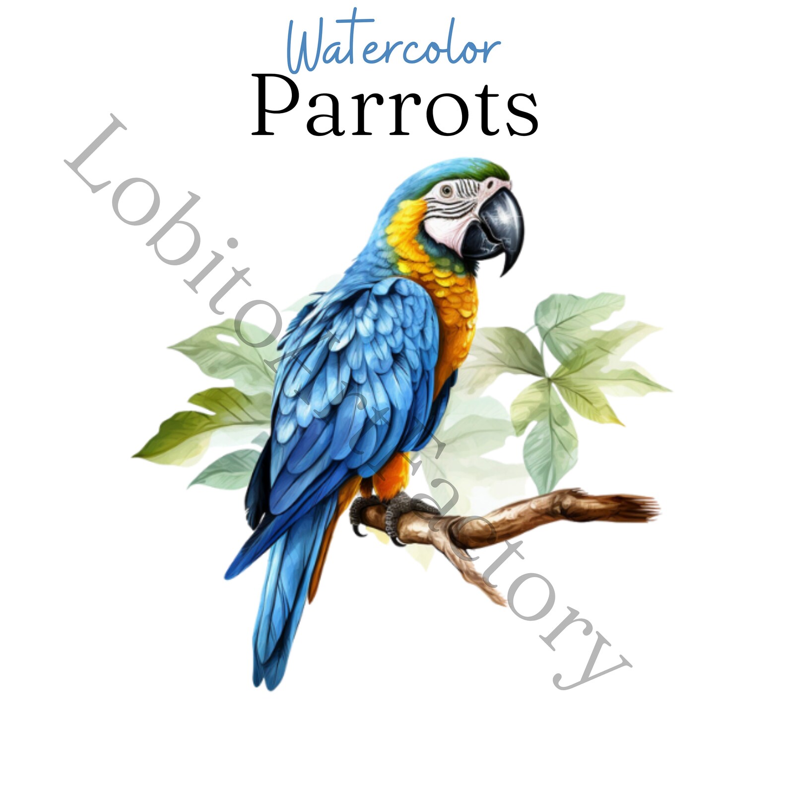 Watercolor Parrot Cliparts Bundle, PNG, 63 Illustrations, Colorful ...