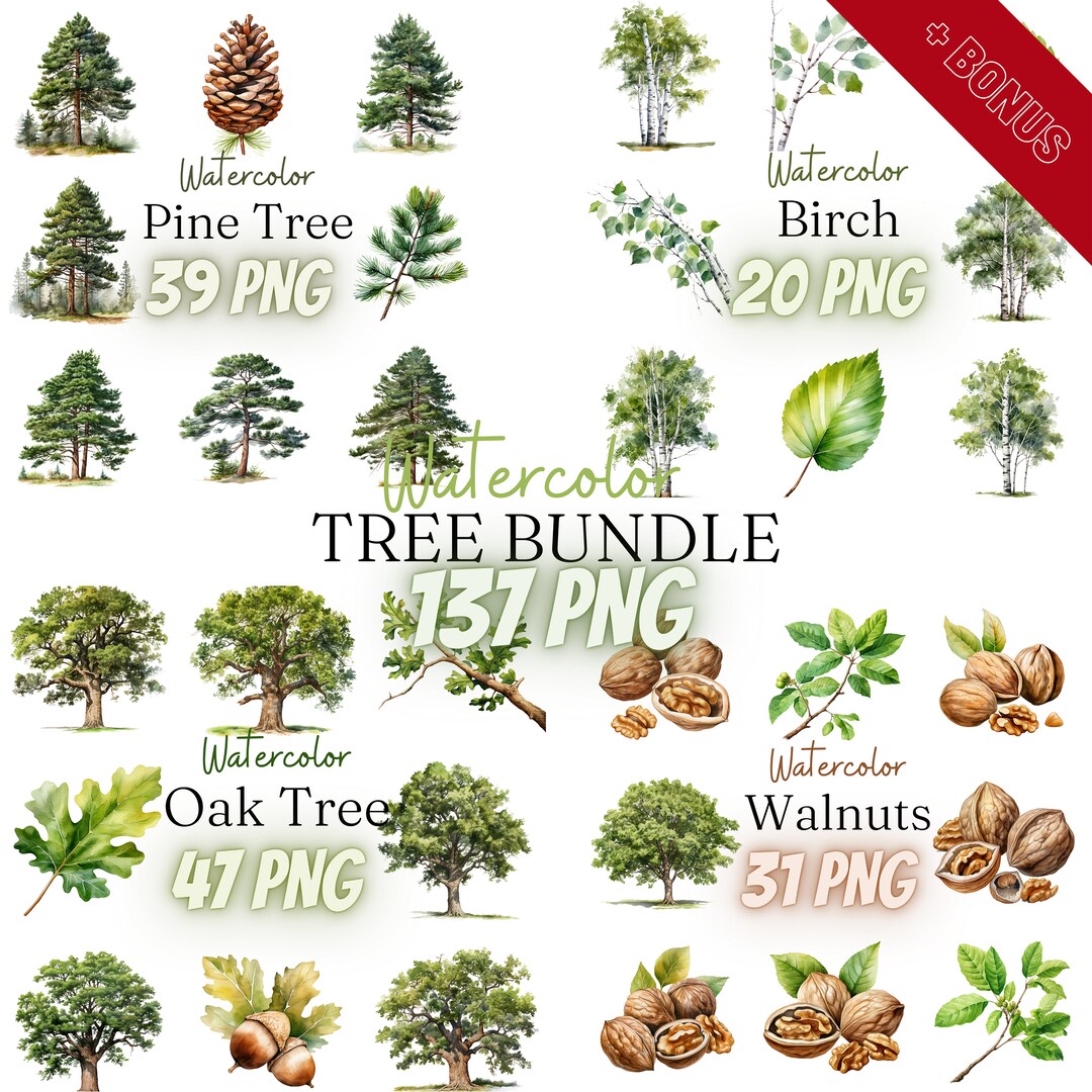 Watercolor Tree Cliparts Bundle, PNG, 137 Illustrations, Oak Trees ...