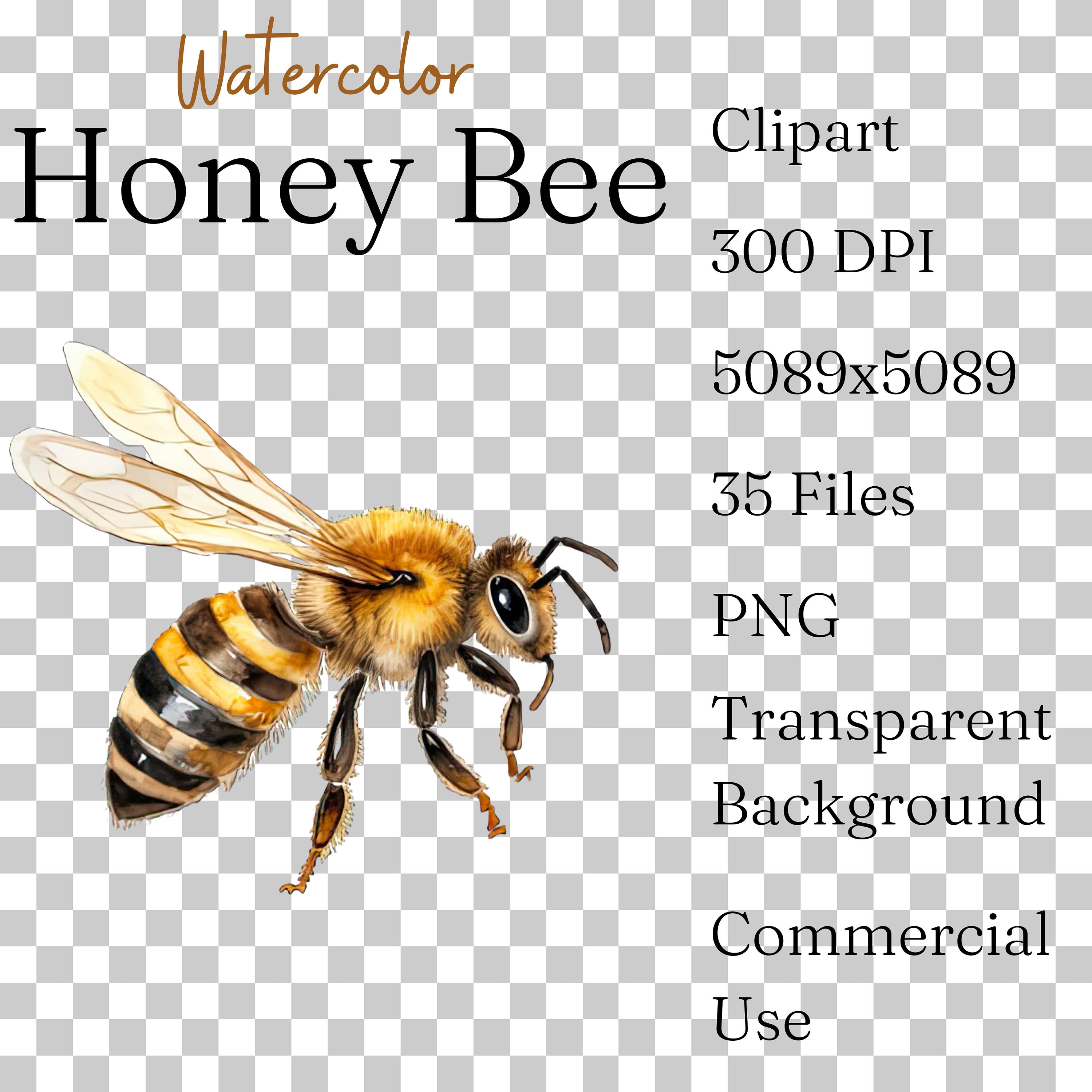 Watercolor Honey Bee Cliparts, PNG, 35 Illustrations, 300 Dpi, Spring ...