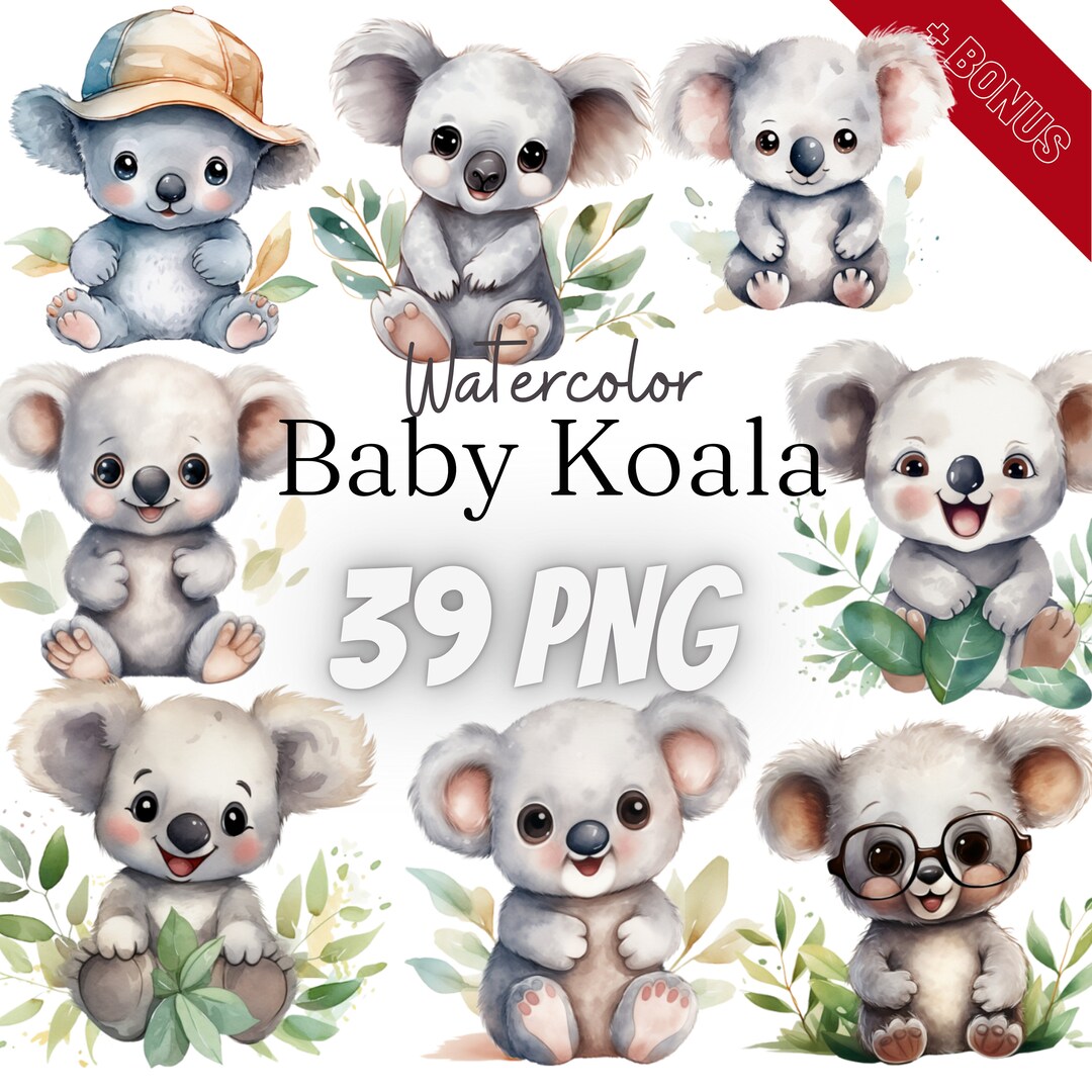 Watercolor Baby Koala Cliparts Bundle, PNG, 39 Illustrations, Koala ...