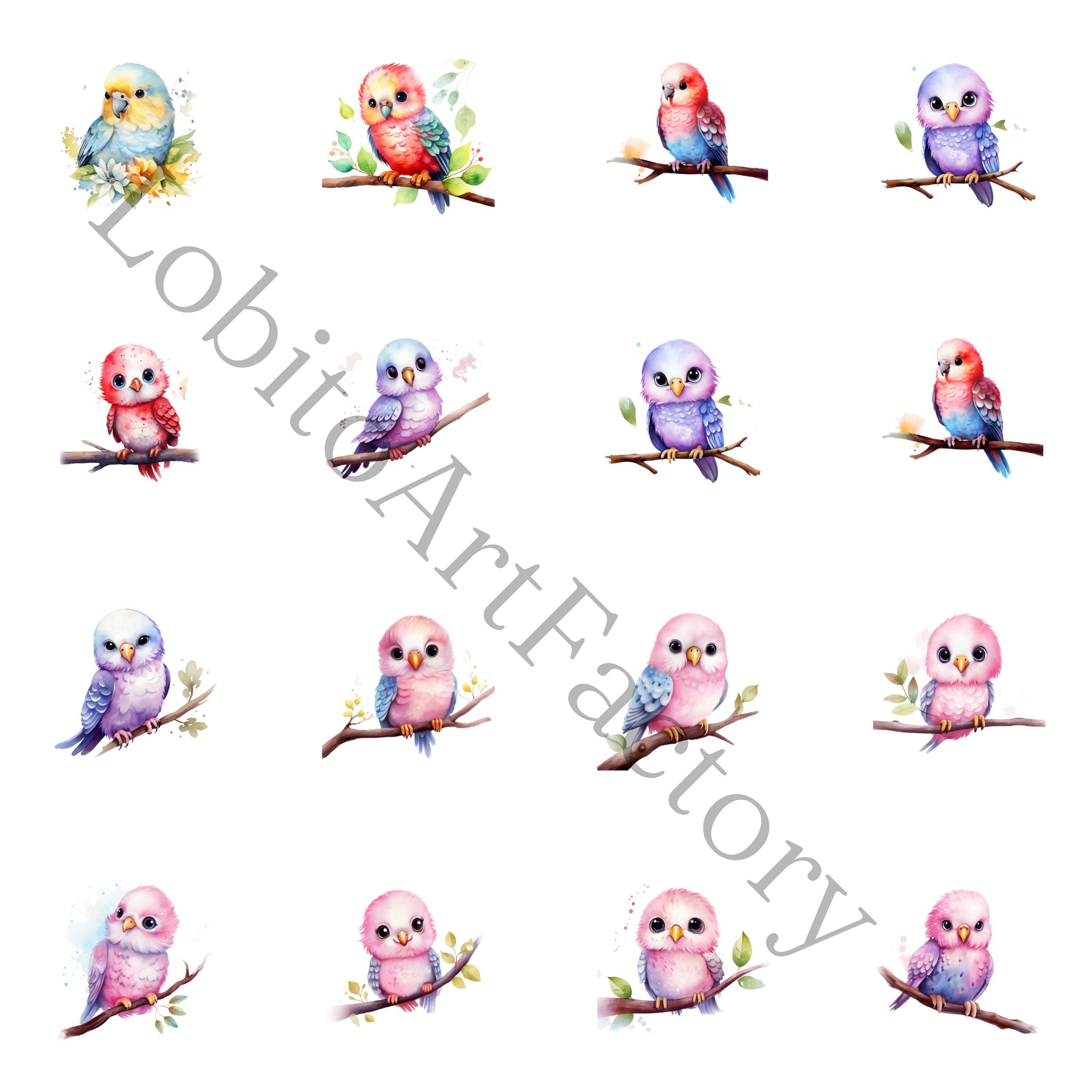 Watercolor Baby Parakeet, Clipart, Baby Budgerigar, Little Bird, Spring ...