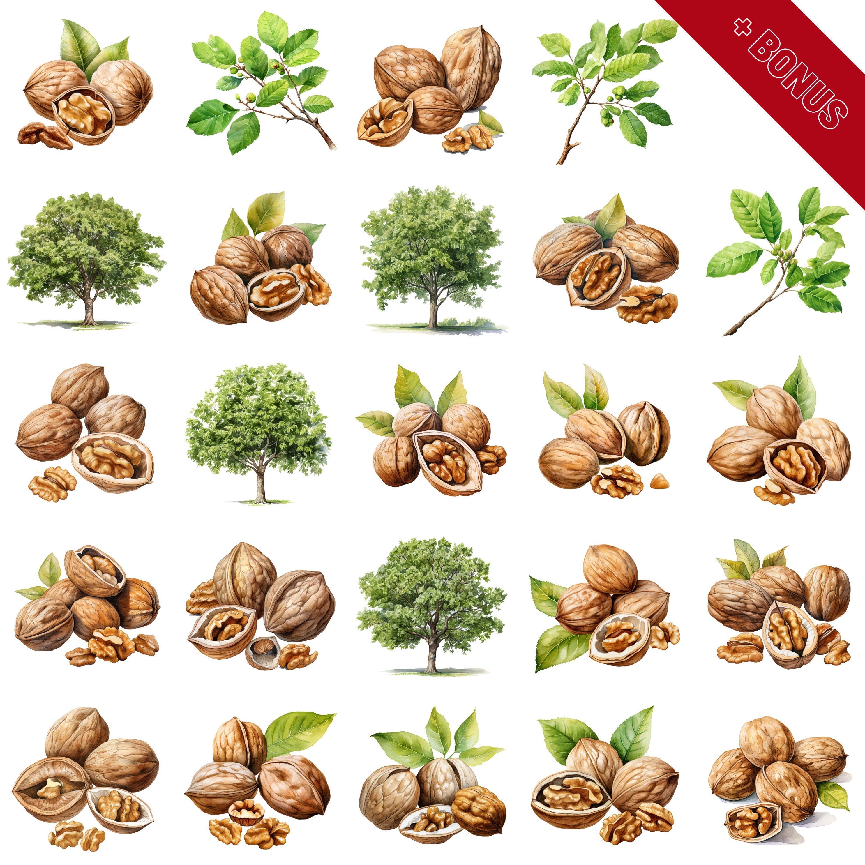 Watercolor Tree Cliparts Bundle, PNG, 137 Illustrations, Oak Trees ...