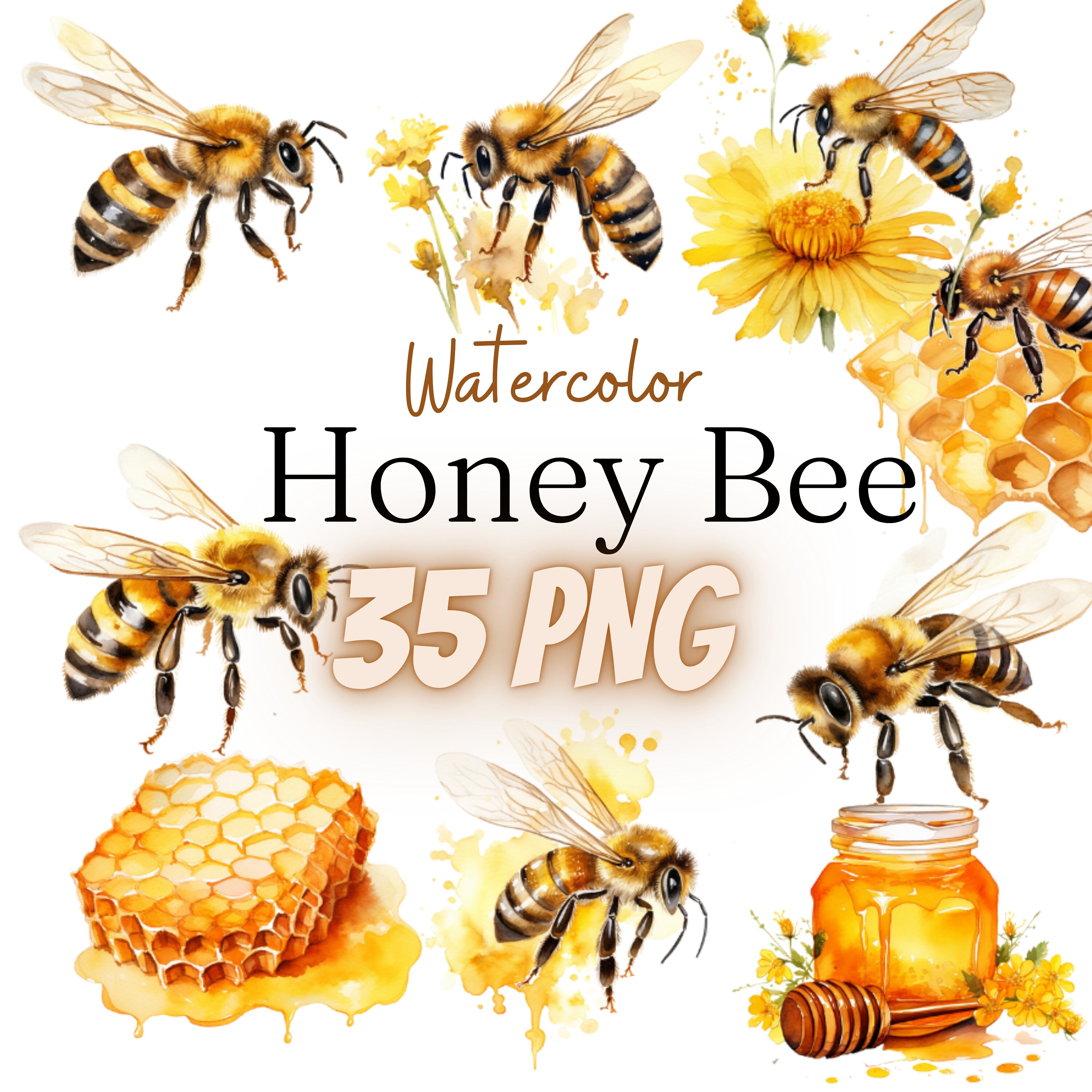 Watercolor Honey Bee Cliparts, PNG, 35 Illustrations, 300 Dpi, Spring ...