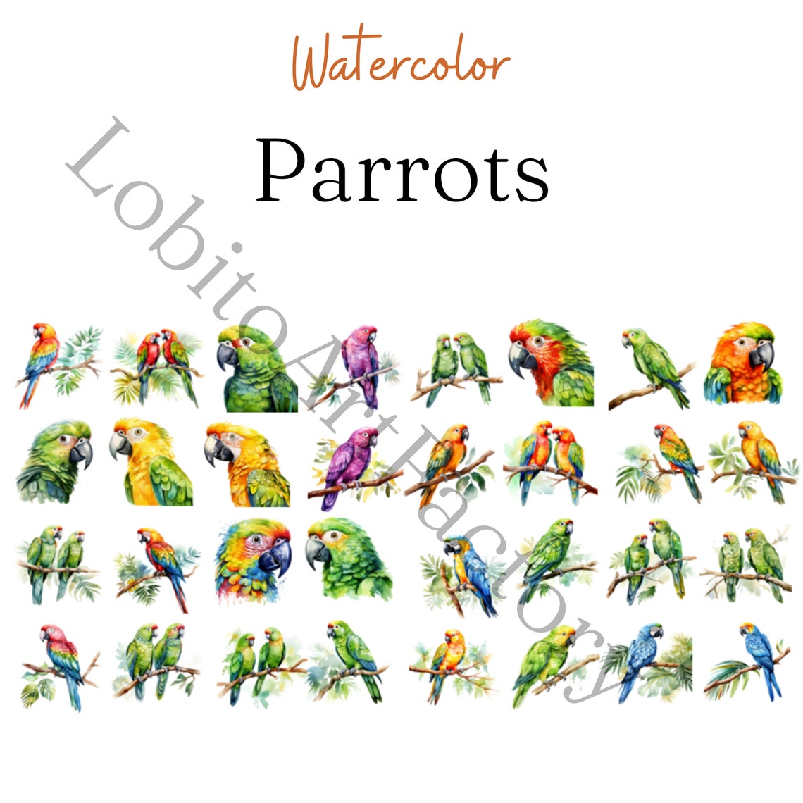 Watercolor Parrot Cliparts Bundle, PNG, 63 Illustrations, Colorful ...