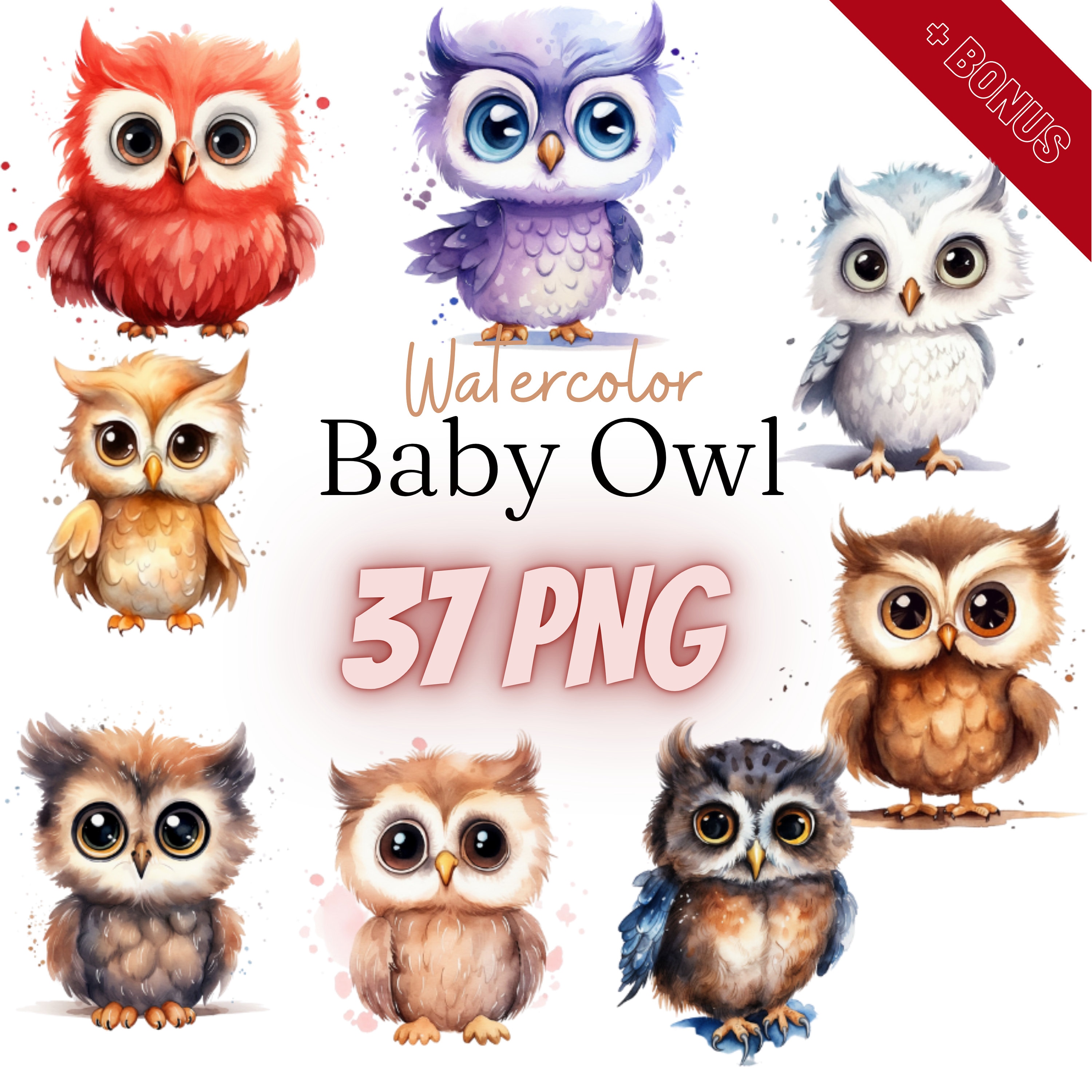 Cute Baby Owl Clipart