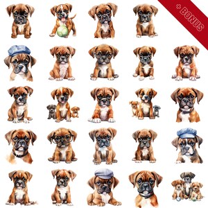 Watercolor Baby Boxer Cliparts Bundle, PNG, 46 Illustrations, Boxer ...