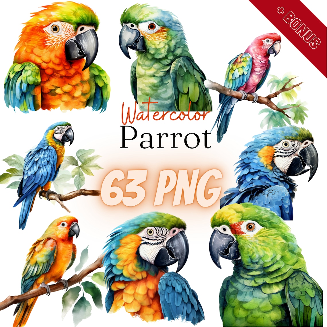 Watercolor Parrot Cliparts Bundle, PNG, 63 Illustrations, Colorful ...
