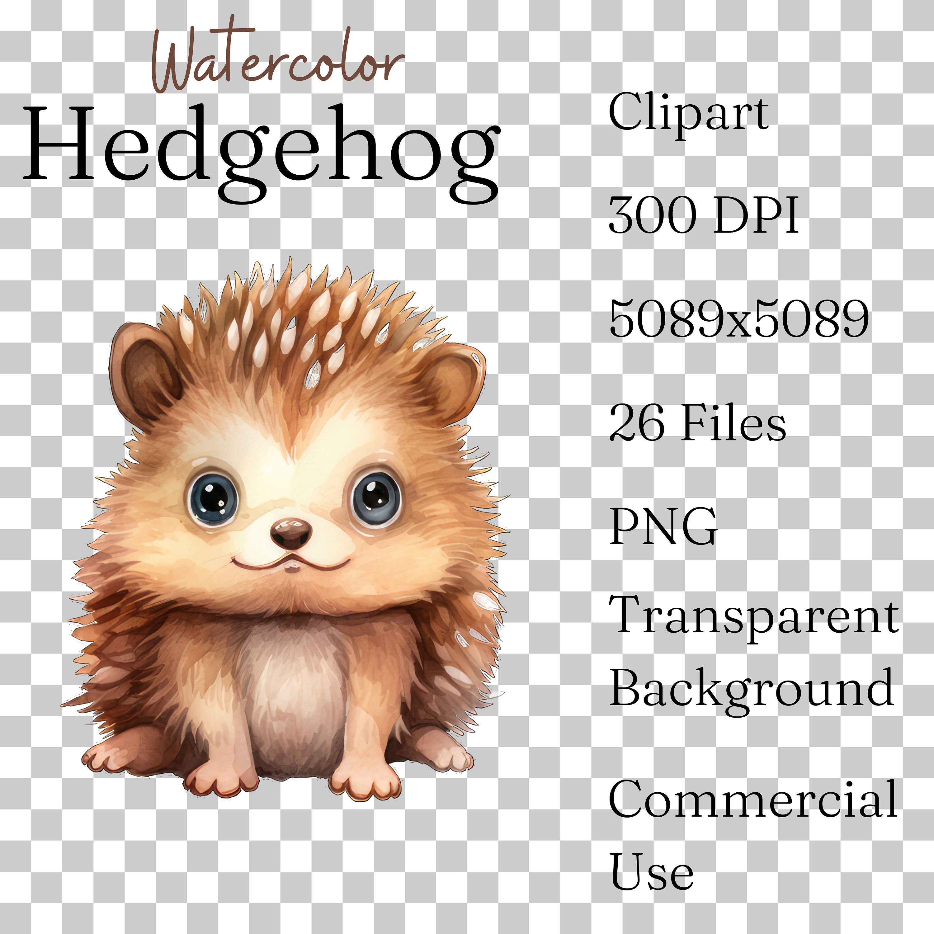Watercolor Hedgehog Cliparts Bundle PNG 26 Illustrations - Etsy